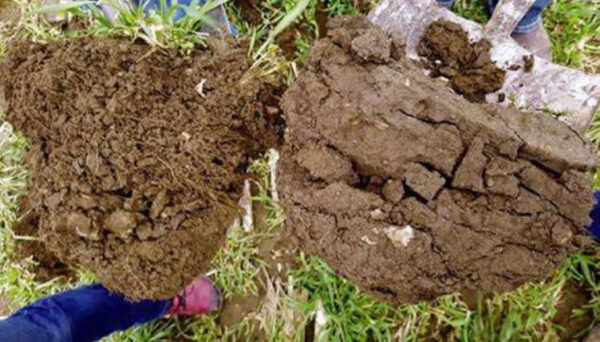 Soil Advisor Precision Soil Management – Soil Advisor combines modern ...